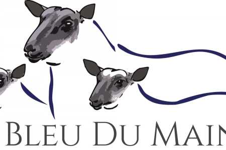 Carlisle Show & Sale Catalogue Out Now! - Latest News - Bleu Du Maine