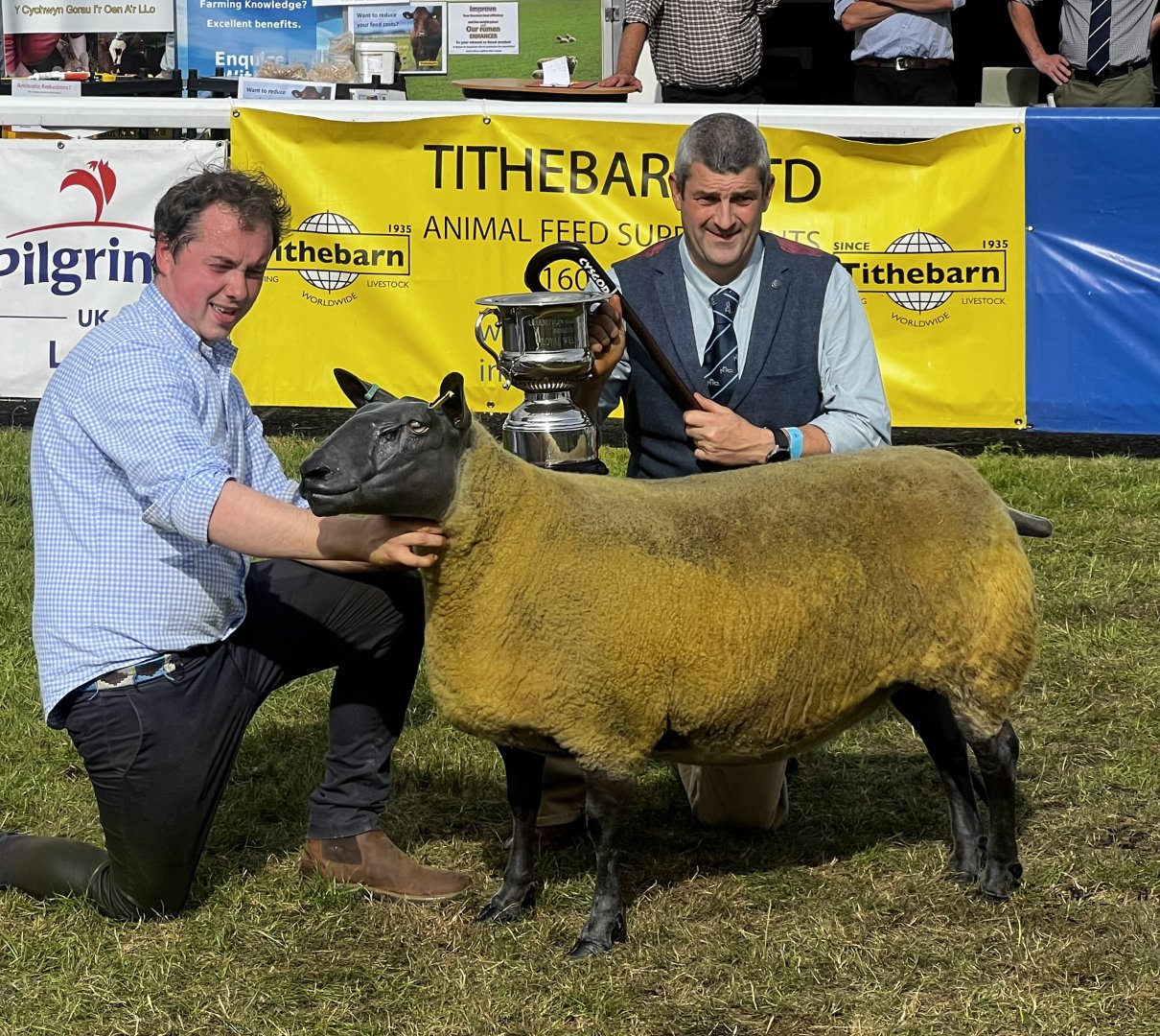 Ruby Sparkles for JOYFIELD at Royal Welsh Show - Latest News - Bleu Du ...